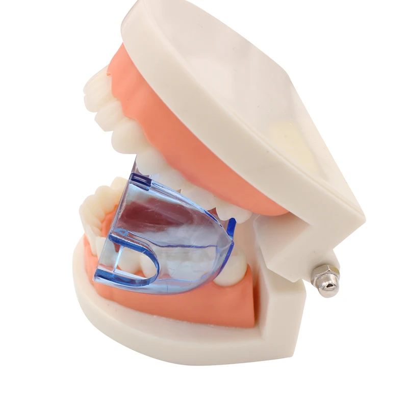 Lip Cheek Retractor Expander Mouth Opener Autoclavable for Posterior ...