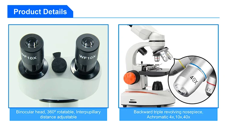 OPTO-EDU A11.1322 400x Electron Optical LED Binocular Microscope