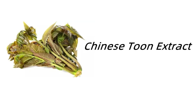 Ciyuan Bio Factory Supply Toona Sinensis Chinese Toon Extract Powder ...