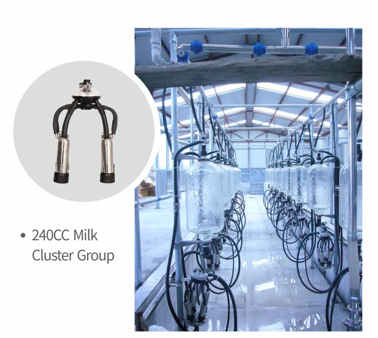 350CC Cow Milking Unit - Efficient & Reliable Dairy Solutions