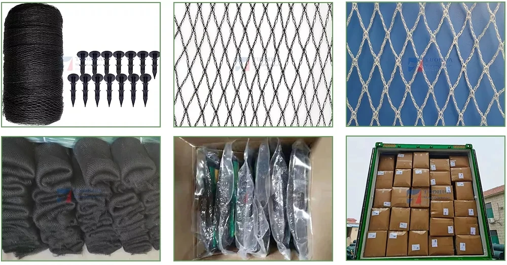 Invisible Bird Netting Anti-bird Net for Grape Protect From Birds ...