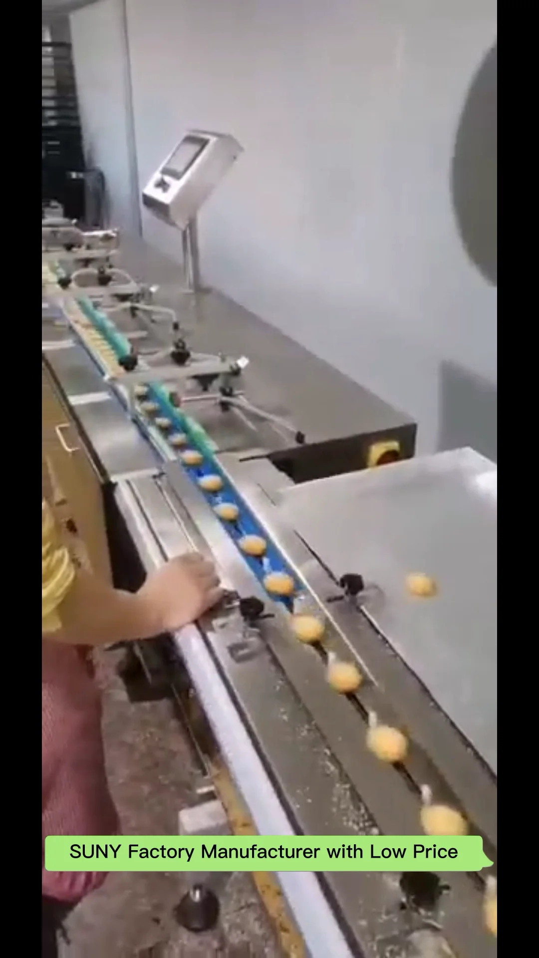 Automatic Cake Bread Chocolate Vegetable Horizontal Flow Wrapping ...