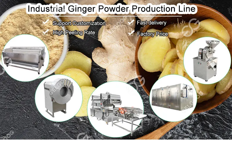 GELGOOG Turmeric Processing Plant - Efficient & Automatic