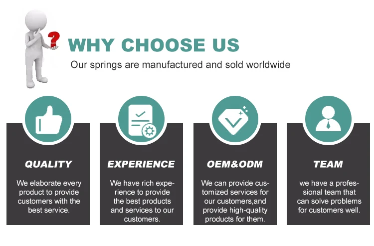 Custom Flat Wire Springs Coil Injection Pump Spring Counter Balance ...