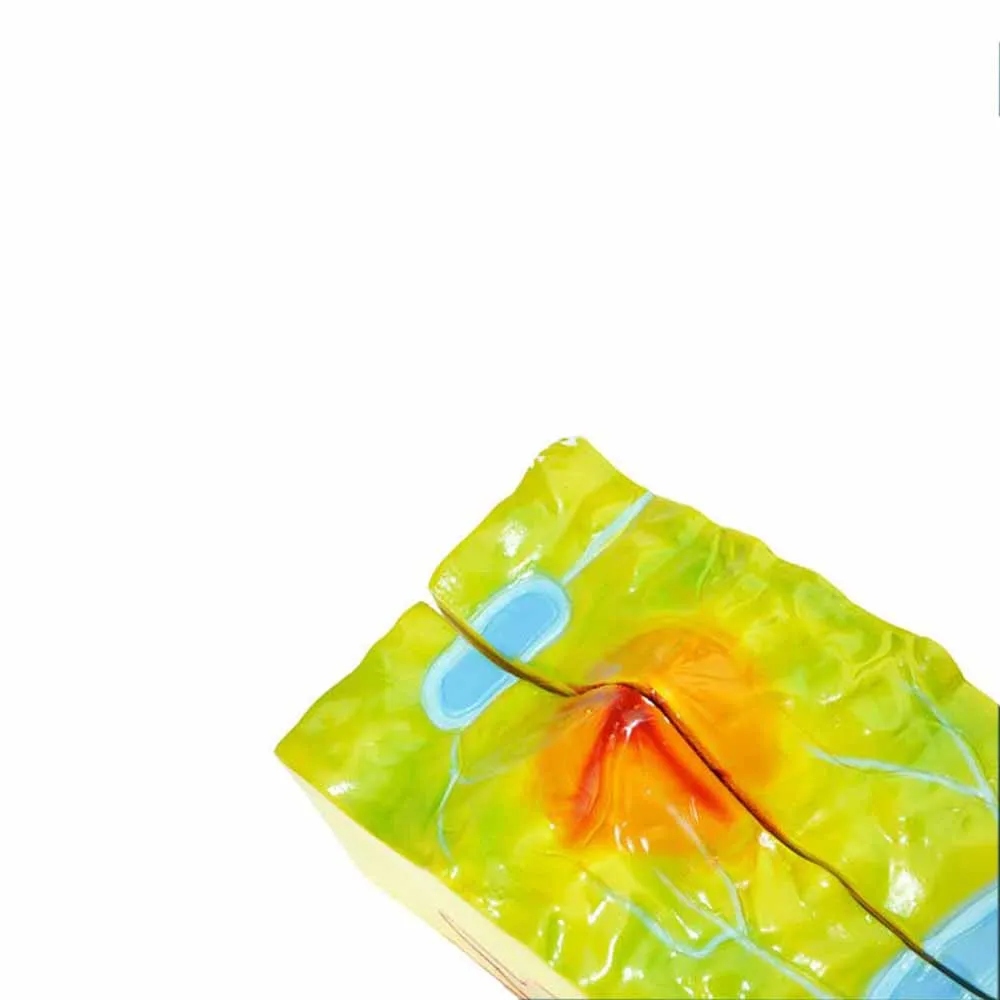 Educational Geographical Model Of Valcano For Students And Teachers ...