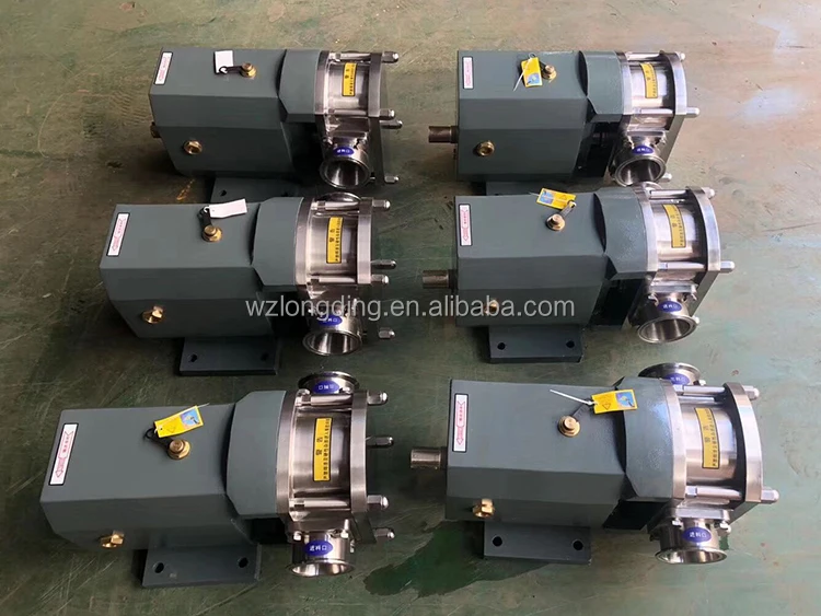 Stainless Steel Sanitary Rotor Pump - High Viscosity Liquid Transfer