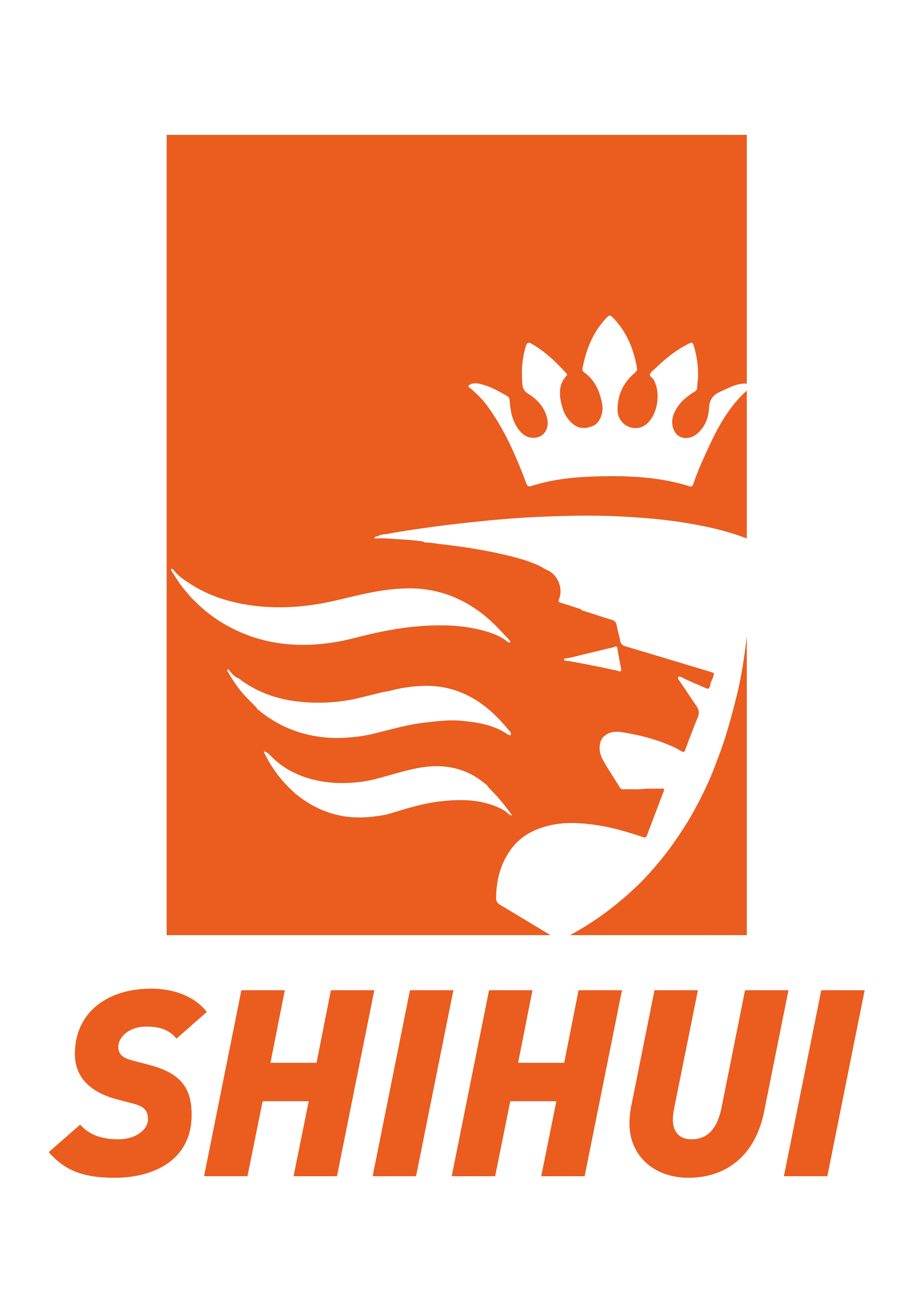 Company Overview - Nanjing Shihui E-commerce Co.,Ltd