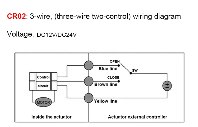 Dn25 Mini Motori Zed Electric Ball Valve 2-wege-edelstahl Mit Manuellem ...