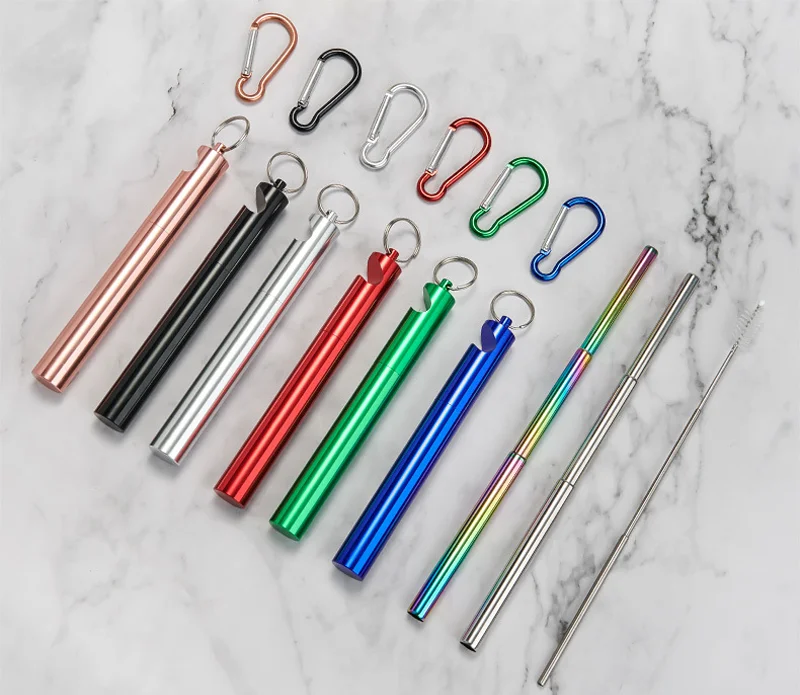 Stainless Steel Folding Collapsible Drinking Straw Kit