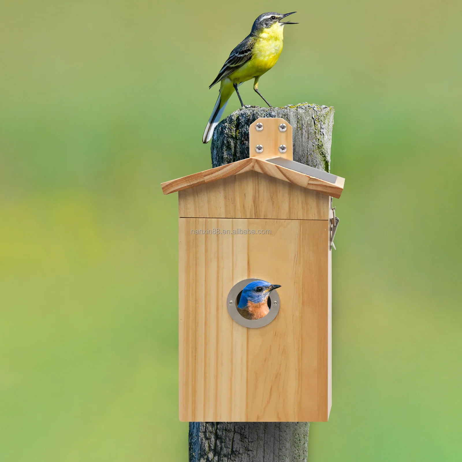 Wood Bird Nest Smart AI Bird Camera with Solar Panel Waterproof Bird ...