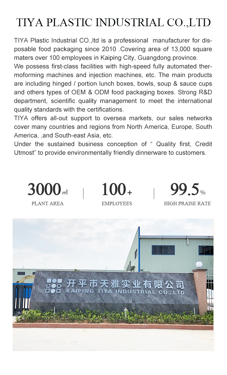 Tiya Food Packaging - Durable, Disposable, and Versatile