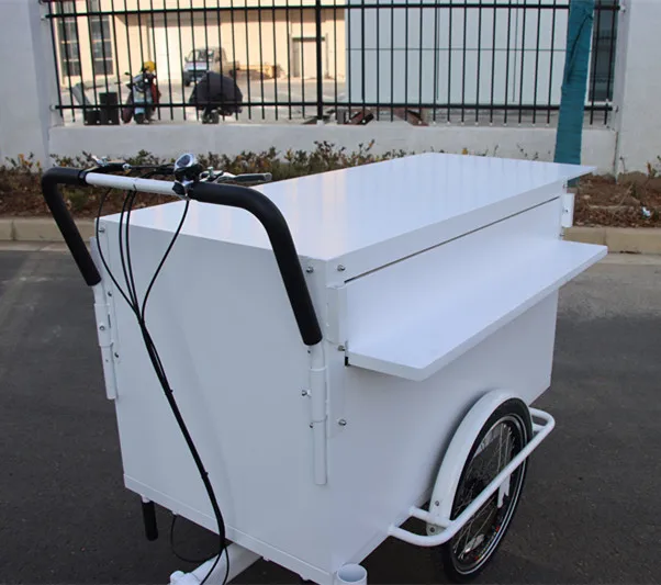 Lithium Battery Freezer Bike - Perfect for Ice Cream Trailers