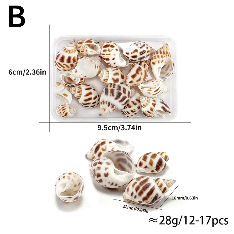 Extra Tiny Mix Sea Shells,Very Small & Clean,28 G Apprx. 110-120 Pcs+ ...