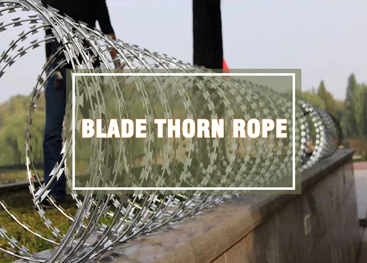 Dannert Concertina Wire Razor Wire On Fence Cross Razor Type Iron ...