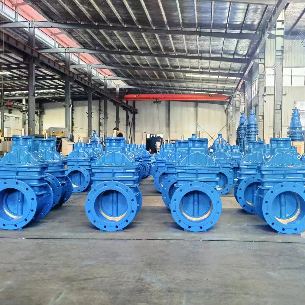 Din/ansi/gost Cast Ductile Iron Metal/resilient Seated Gate Valve Of ...