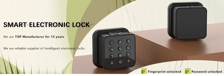 Goodum Custom Card Reader Rfid Door Lock Wholesale Smart Combination ...