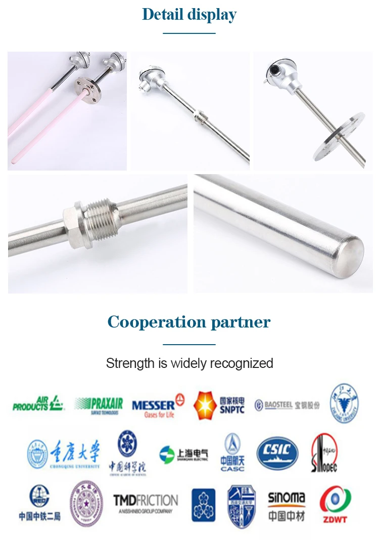 Pt100 Rtd Temperature Sensor 1000 1500 1600 Degree Fast Mineral ...