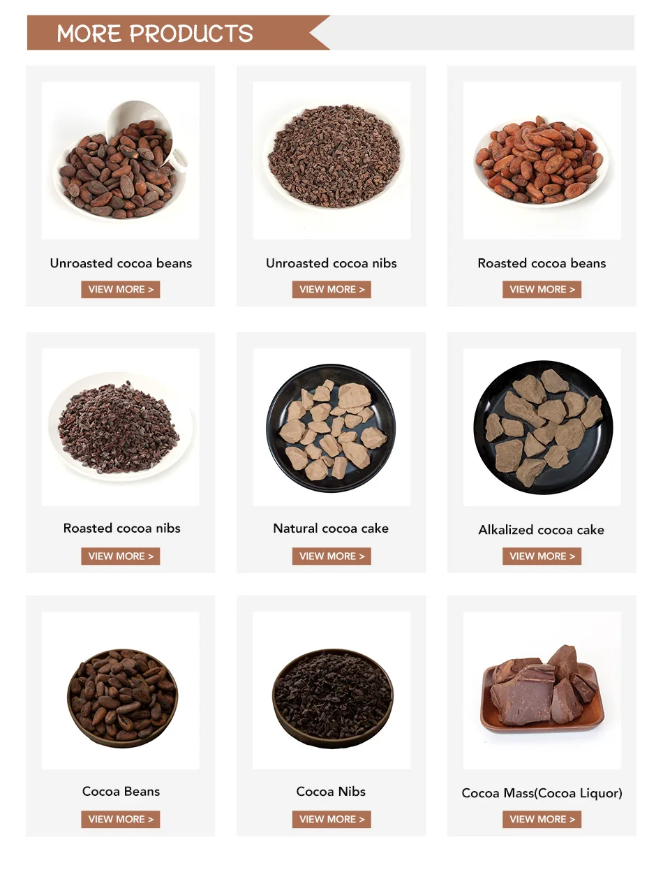 Cocoa Industry Chain Ghana - Unroasted Cocoa Beans from West Africa