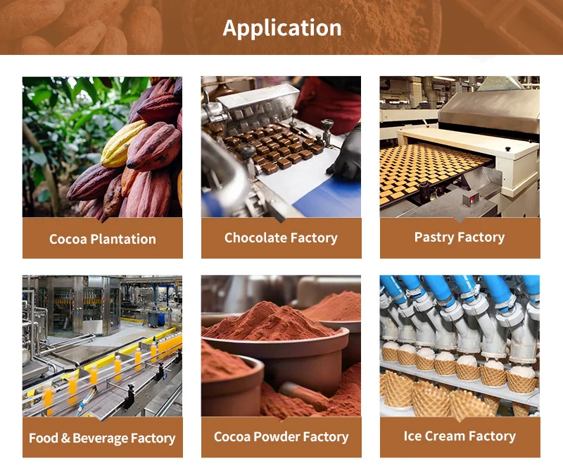 Professional Cocoa Powder Processing Machine Cocoa Nibs Making Equipment for Producing Fine and ...