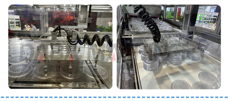 DB-63/78 Thermal Forming Bops Machine Pressure Forming Plastic Food Box ...