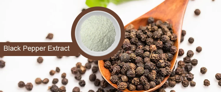 Black Pepper Extract - Pure Piperine Powder for Food & Health