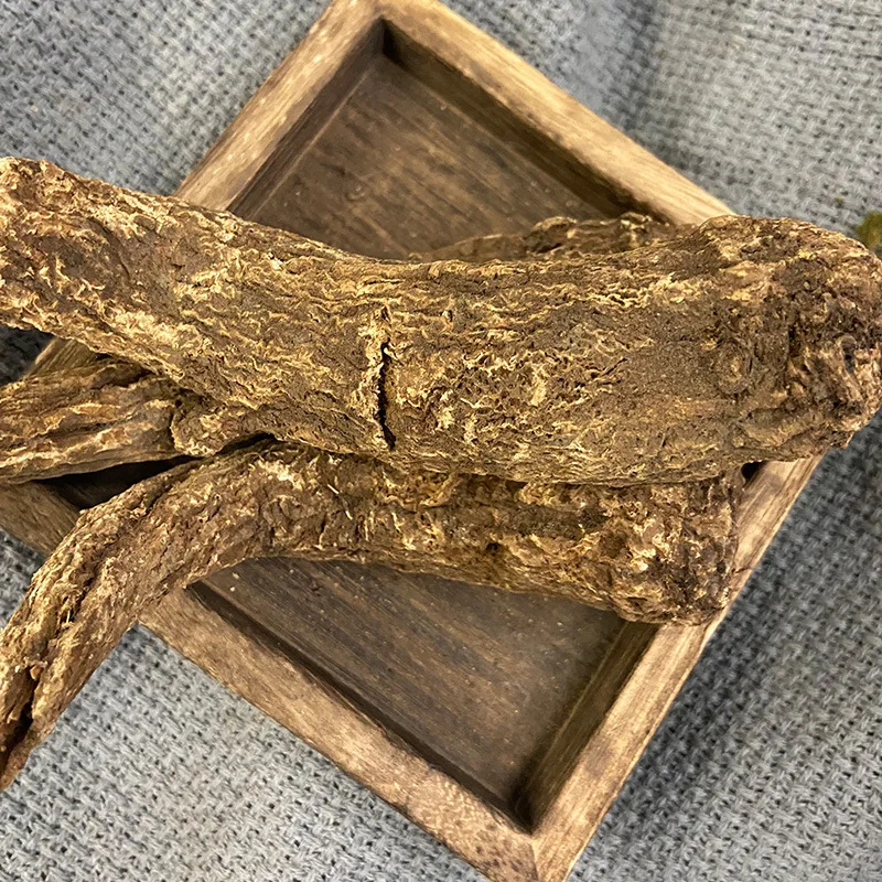 Radix Saussureae Lappaeyun Mu Xiang Bulk Whole Dried Saussur Costus ...