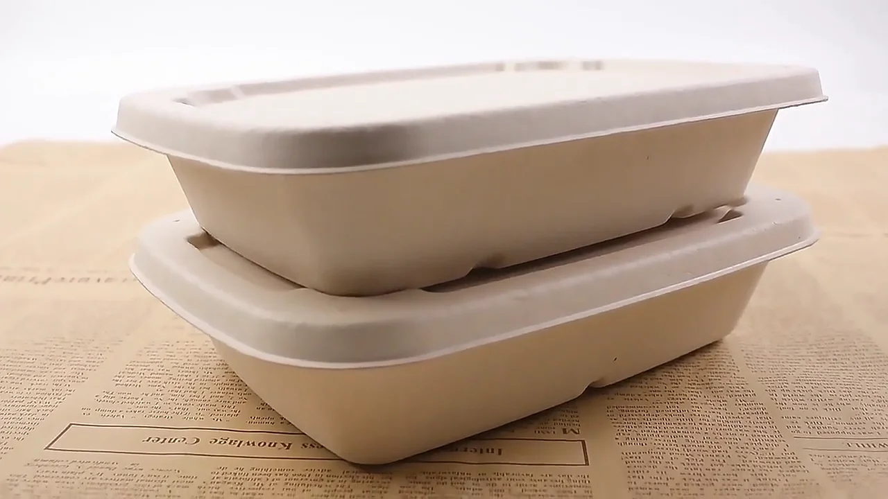 Disposable Biodegradable 750ml Sustainable Bagasse Rectangular Container Sugarcane Bagasse Food ...