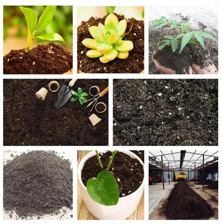 Mobile Compost Rotary Sieve Machine for Efficient Composting