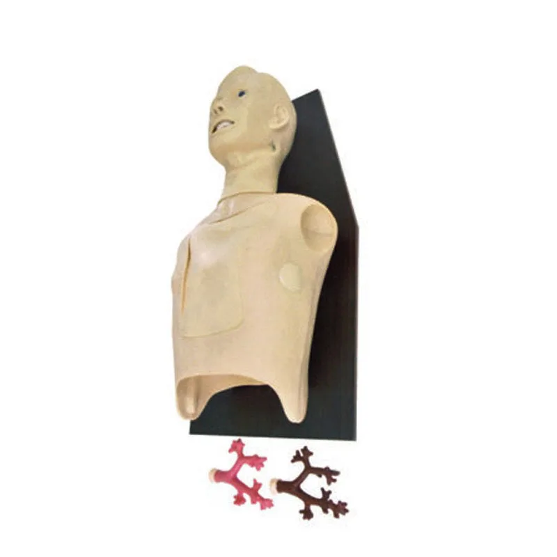 Medical Science Advanced Bronchial Endoscopy Training Model Human ...