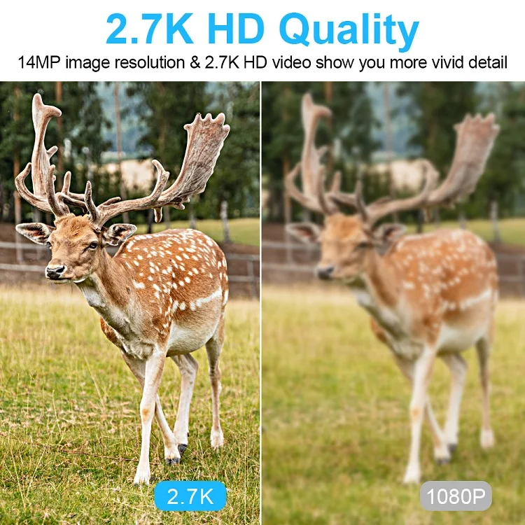 Cellular 4G LTE Deer Live Stream Trail Camera - 940 No Glow