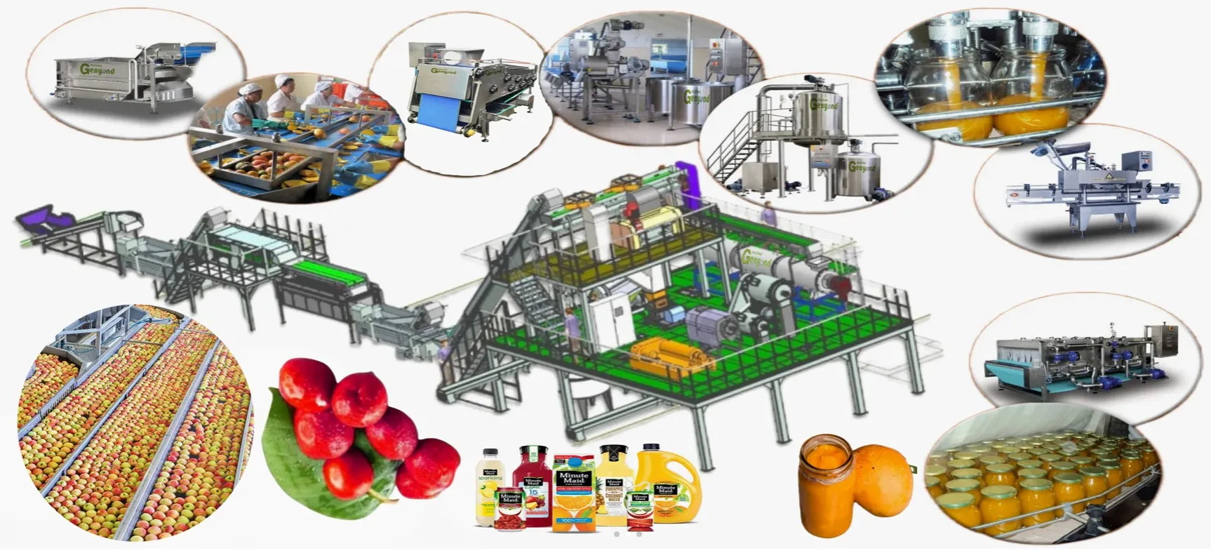 Genyond Prickly Pear Juice Production Line - Efficient & Eco-friendly