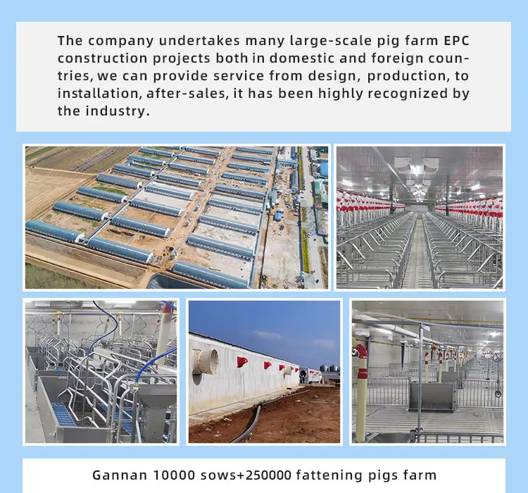 Pig Farm Epc Project Floor Plan Design Modern Pig Farm Intelligent Pig ...
