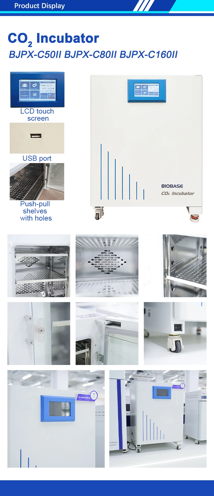 BIOBASE CO2 Incubator - 50L Capacity for Lab Efficiency