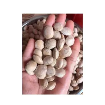 Roasted Sacha Sacha Inchi Nut From Vietnam- Make Sachi Oil - Helen +84 ...