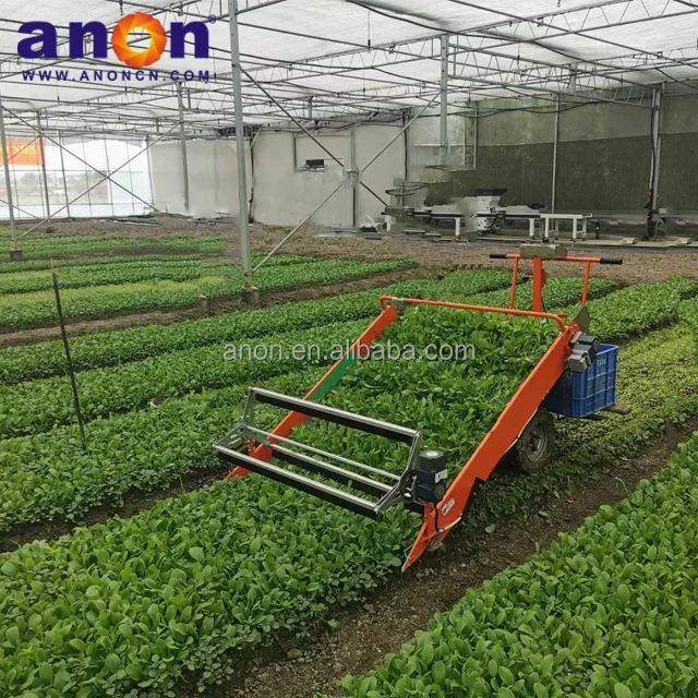 ANON Self-Propelled Vegetable Cutting & Harvesting Machine for Lettuce ...