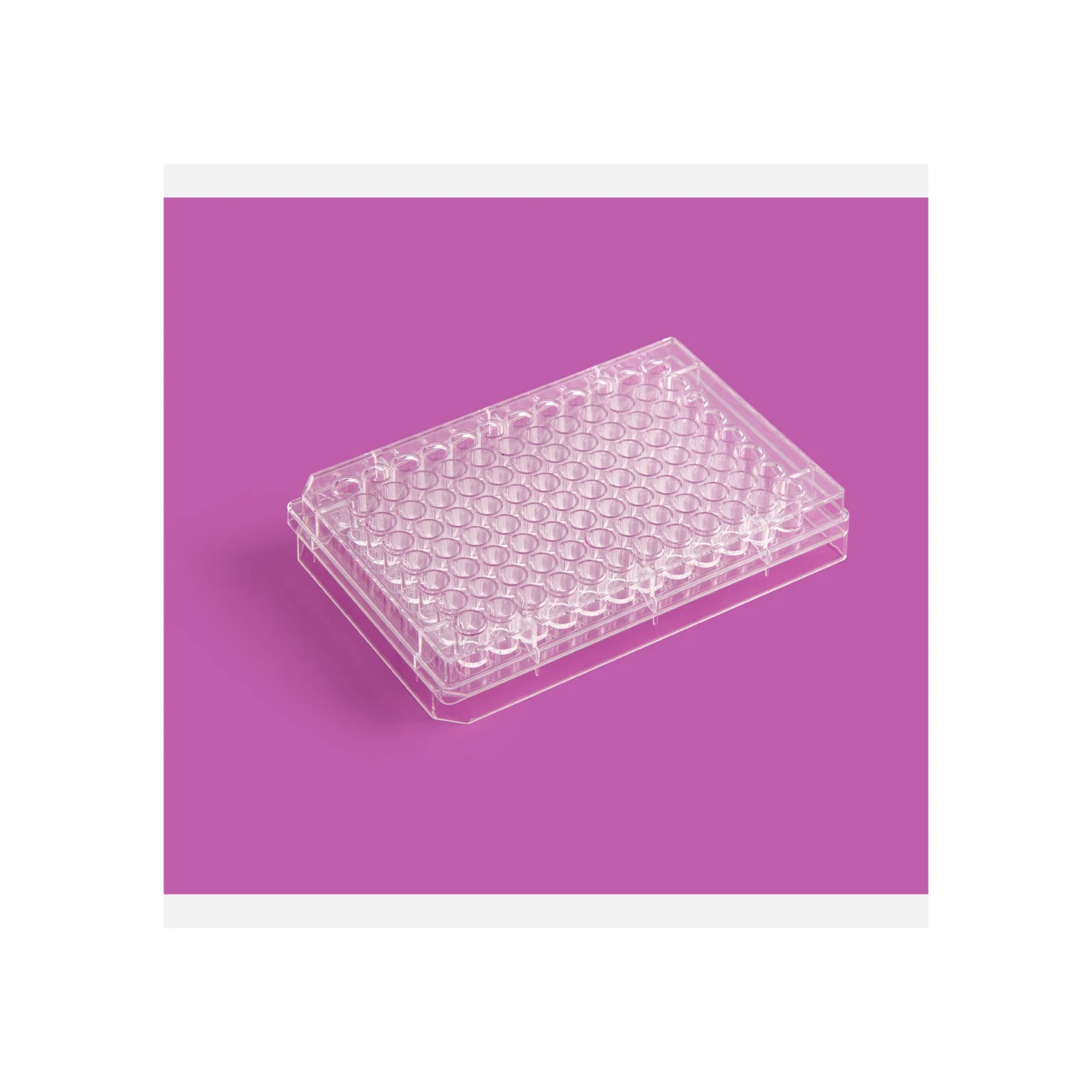 96 Well Elisa Plate Non-detachable Polypropylene Clear For Lab ...