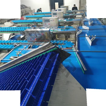 Sheep Hoof Weight Sorter Machine Chicken Wing Automatic Grading Machine ...