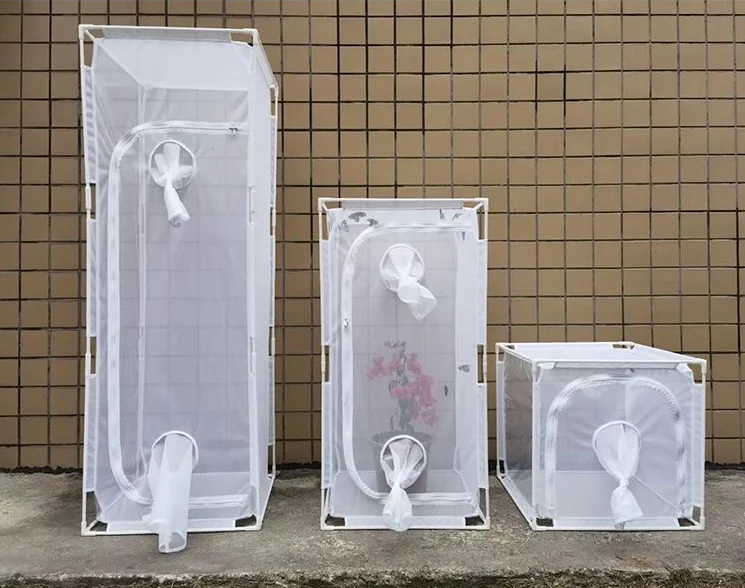 0.1mm Grid Fine Mesh Stainless Steel Frame Backbones 30x30x30cm Insect ...