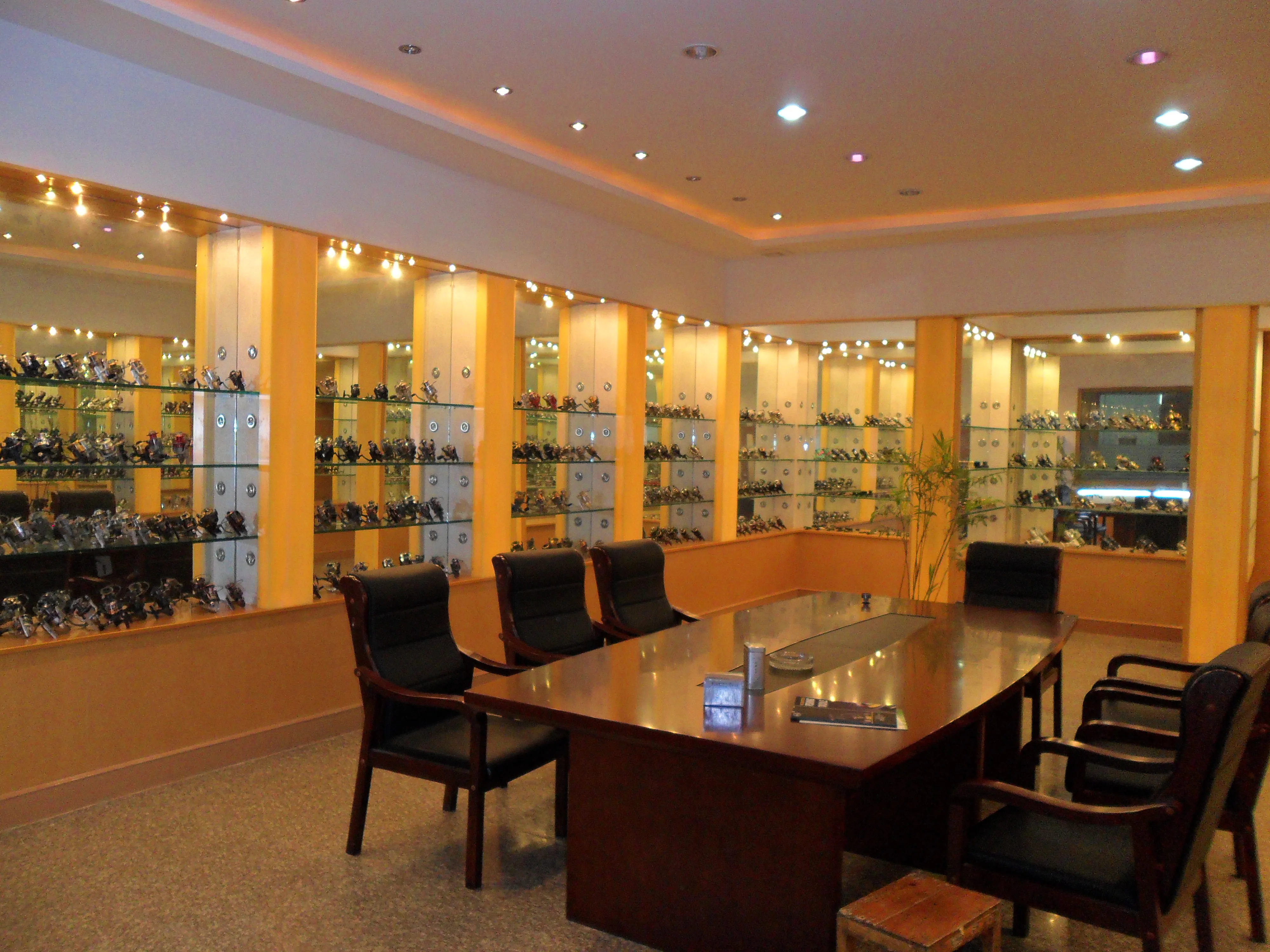 Lizard Fishing Reel 5.2:1 Ratio - Durable & Versatile