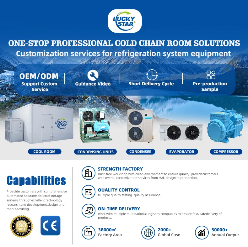 Refrigeration Room Air Cooler 8HP Industrial Walk in Cooler Heat ...