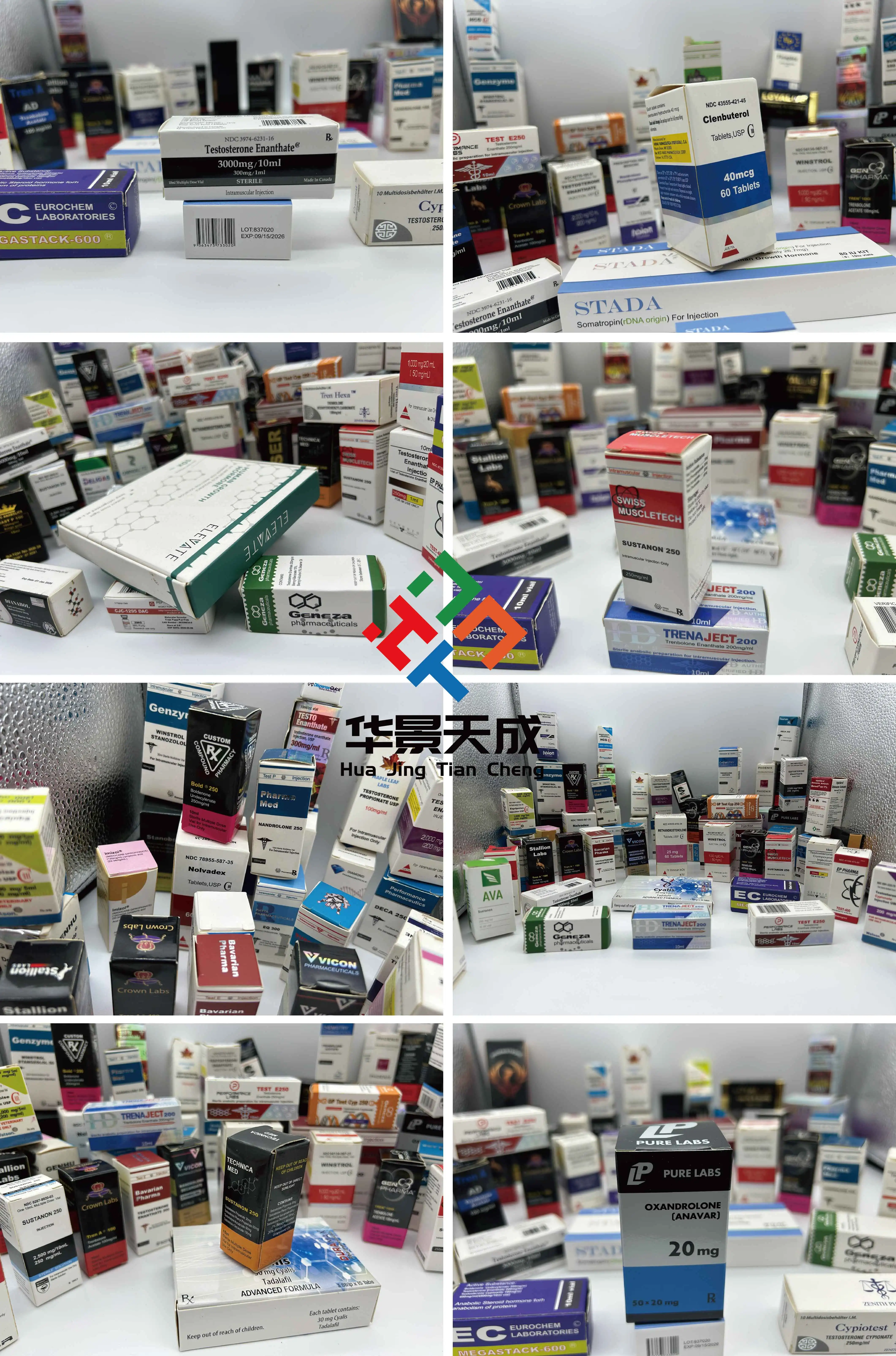 Custom Bodybuilding Creative Design Folding Plastic Blister Display ...