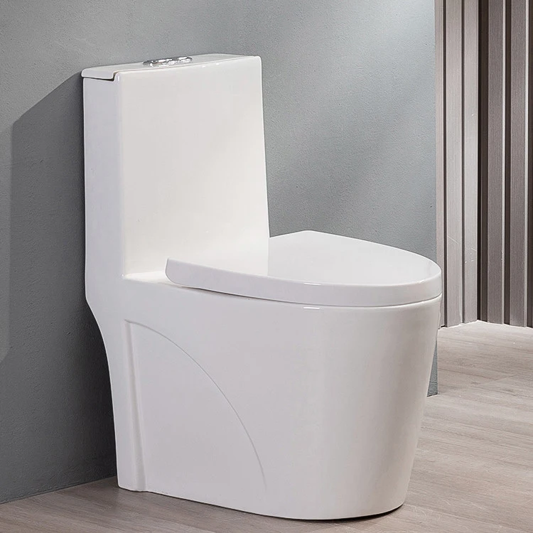 Ceramic Comodes - Dual-Flush Toilets for Modern Bathrooms