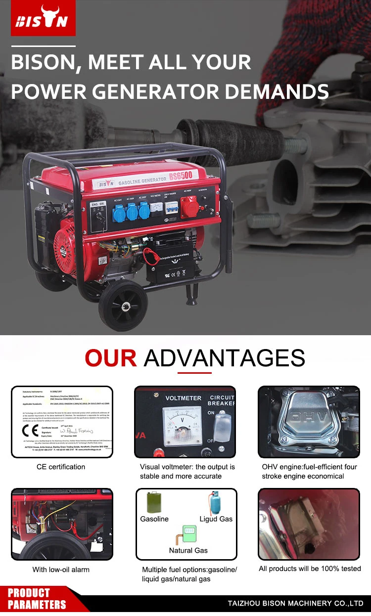 Bison Generators 220v 1kw 1.5 Kva 6.5 Kw 2kw 10kw Lpg Ac Dc Gas ...