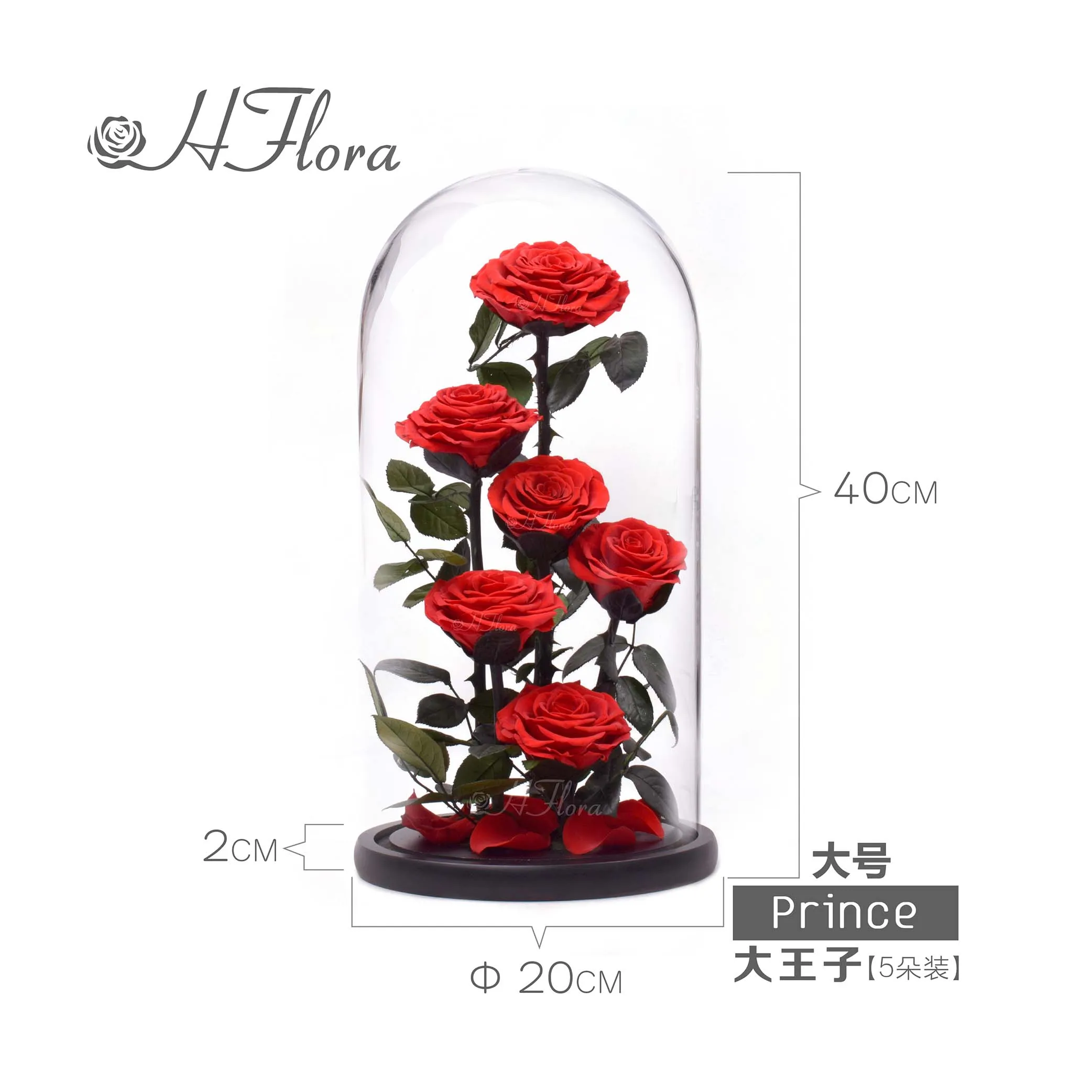 Glass Rose Preserved Rose 50 Colors Forever Stabilized Eternal Roses In ...