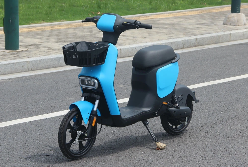 WOBO PEM01-H Hydrogen-Powered E-Bicycle - Efficient & Eco-friendly
