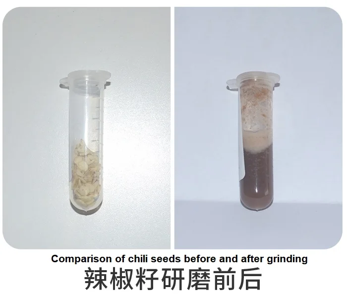 NANBEI NW-800 Tissue Grinder - High-Throughput & Efficient