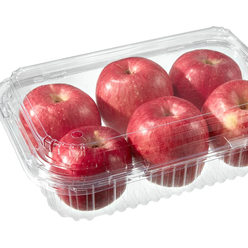 6 Pack Plastic Disposable Fruit Container Clamshell Clear Pet Vegetable ...