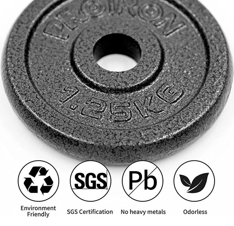 Cast Iron Weight Plate Fitness Competition Plates Lb Weight Lifting 1 ...