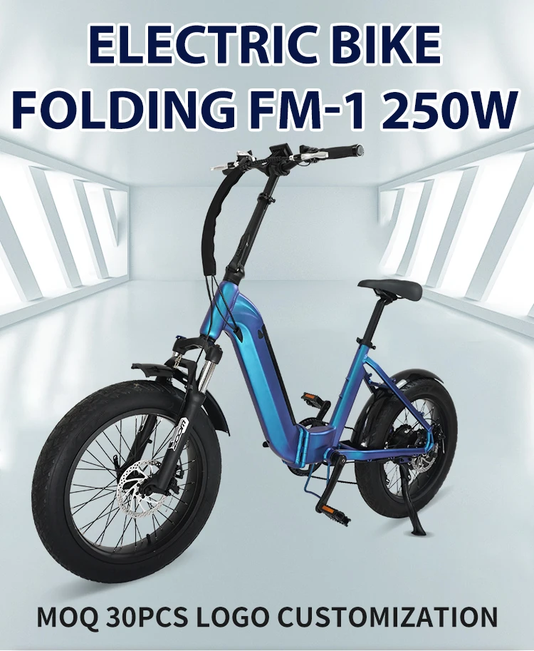 Lvco Woman Cheap Price E Bike Bicycle 350w Folding Electric E-bike Bicycle Ebike Folding And ...