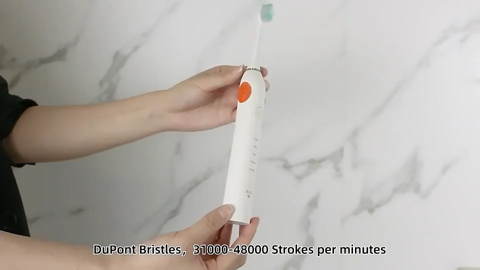 2023 Wireless Charger Sonic Electric Toothbrush Smart Tooth Brush ...